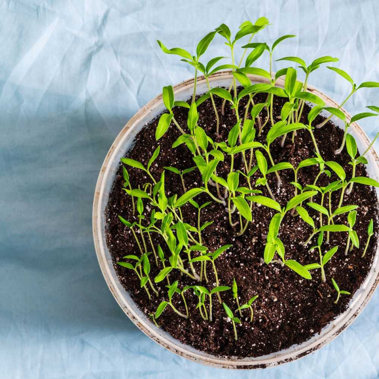 Koogan Plastics – Koogan plastics